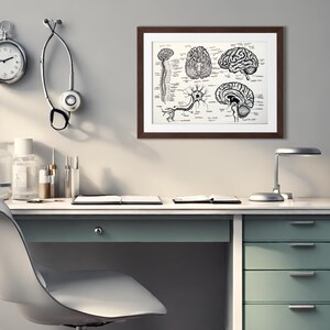 Hand-drawn Neuro Brain Print Diagram - Anatomy Series - Etsy