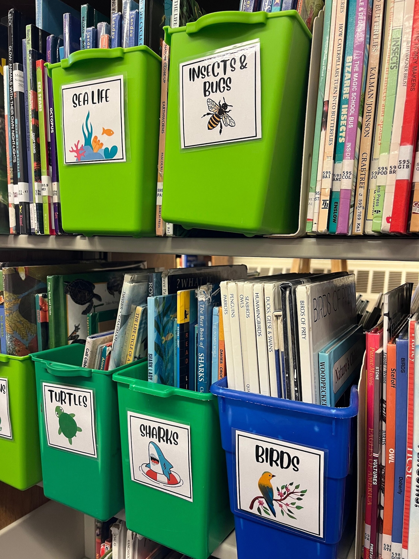 140 Book Bin Labels INSTANT DIGITAL DOWNLOAD for Classroom Library ...