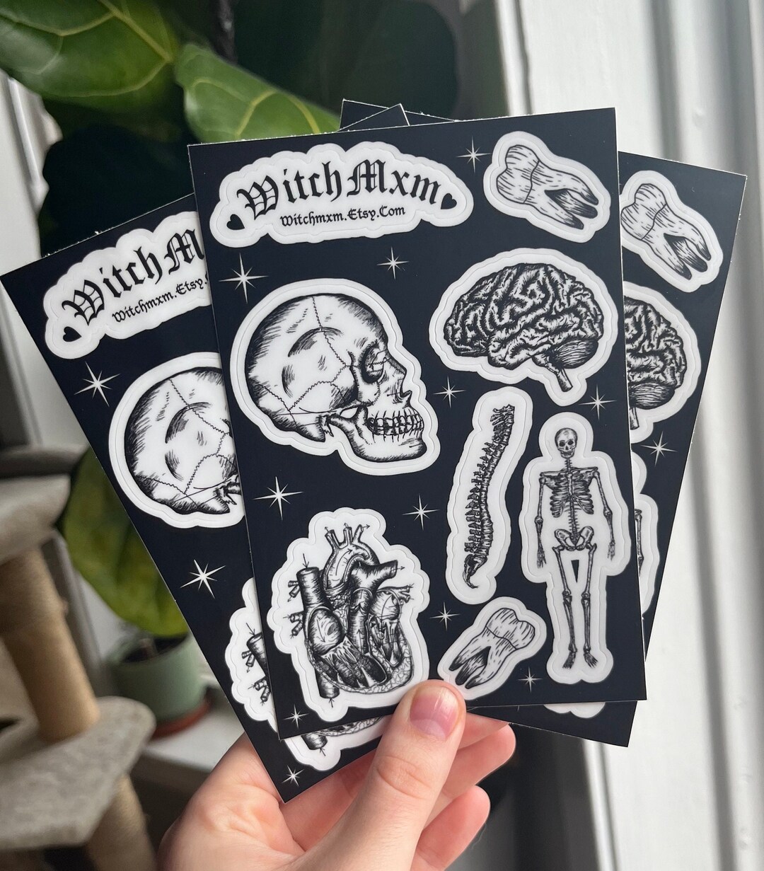Anatomy Sticker Sheet | Anatomy Laptop Stickers | Nurse Sticker ...