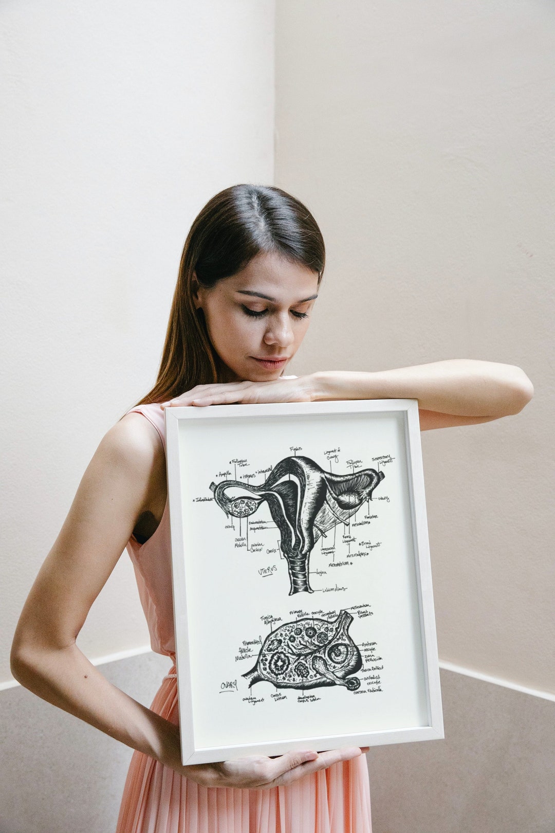 Uterus Anatomy Print Diagram Female Reproductive Labor Delivery Nurse ...