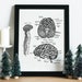 Brain Anatomy Diagram, Neurology, Psychology Art, Brain Anatomy Study ...