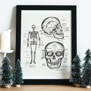 Skeleton Art, Human Anatomy, Medical Art, Gothic Decor, Anatomy Diagram ...