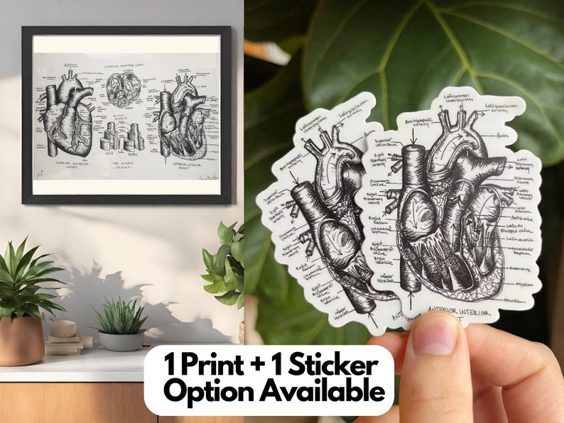 Anatomical Heart Poster | Cardiology Nurse Gift | for Cardiologist Gift ...