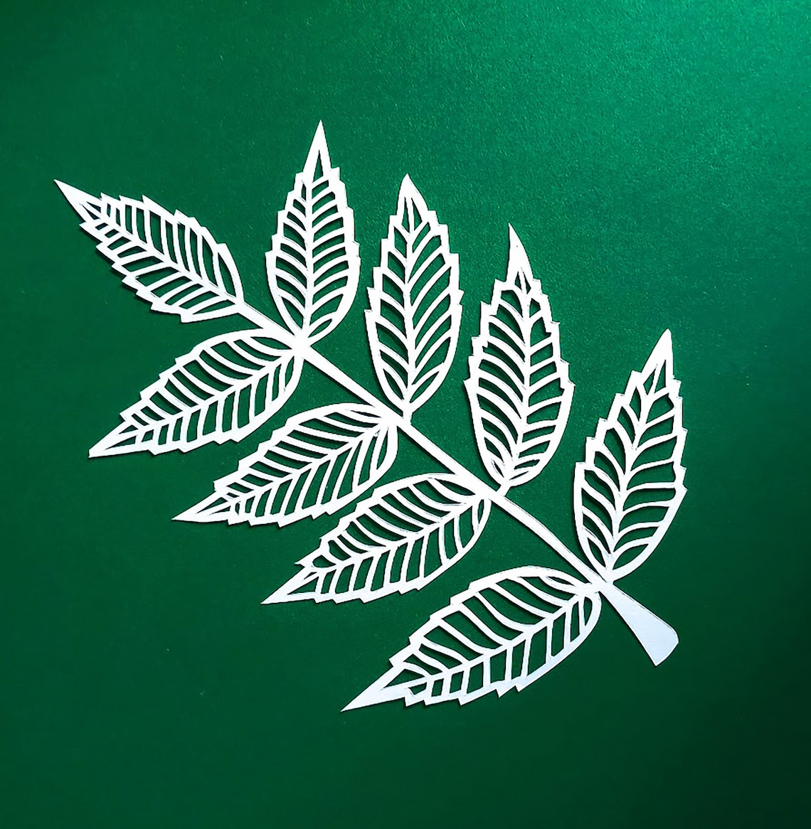 Printable Leaf Themed Paper Cutting Templates, Instructions, Practice ...