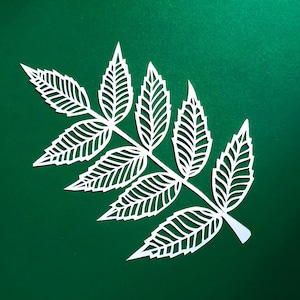 Printable Leaf Paper Cutting Templates, Botanical Craft (digital ...