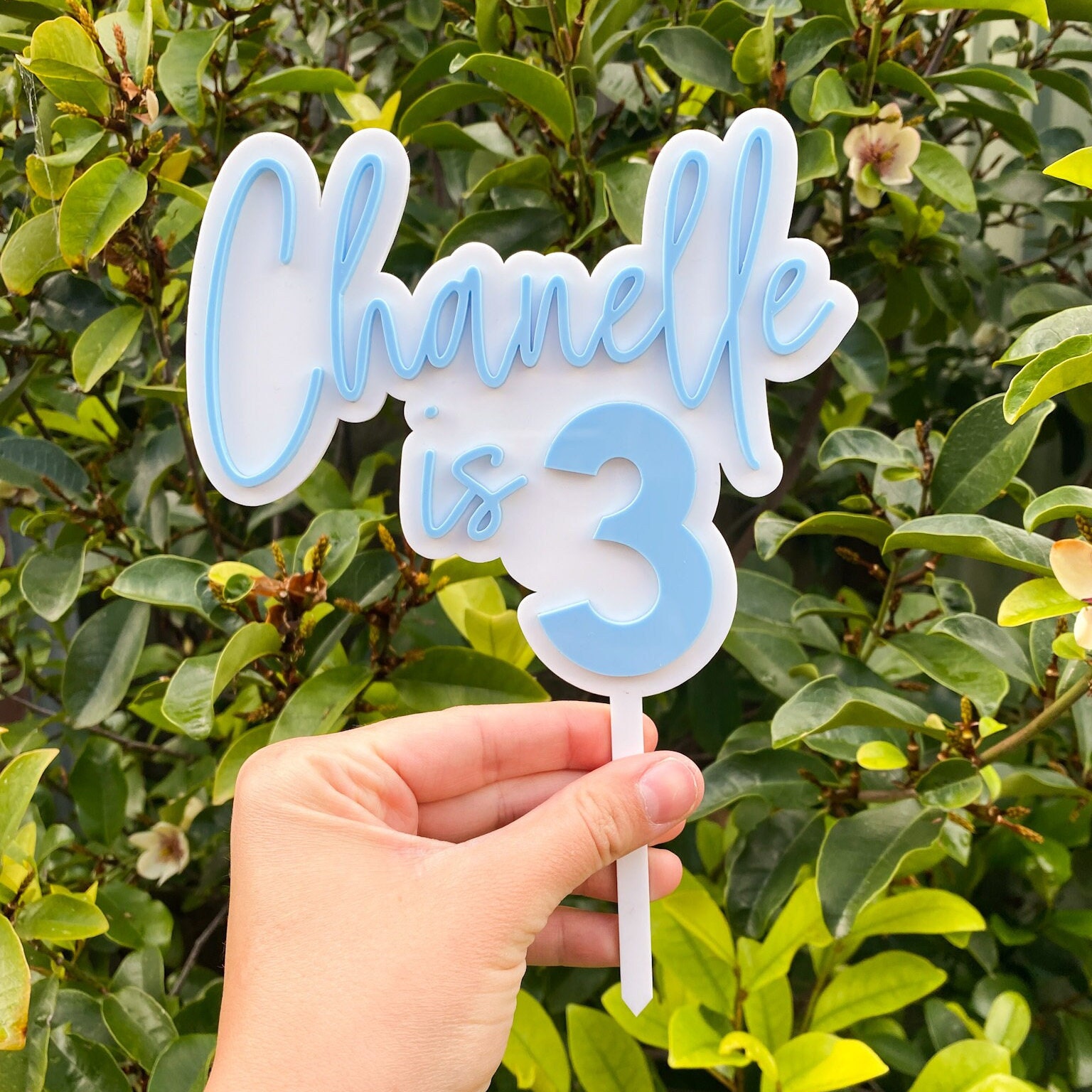 Custom Birthday Cake Topper Kids Birthday Cake Topper - Etsy Australia