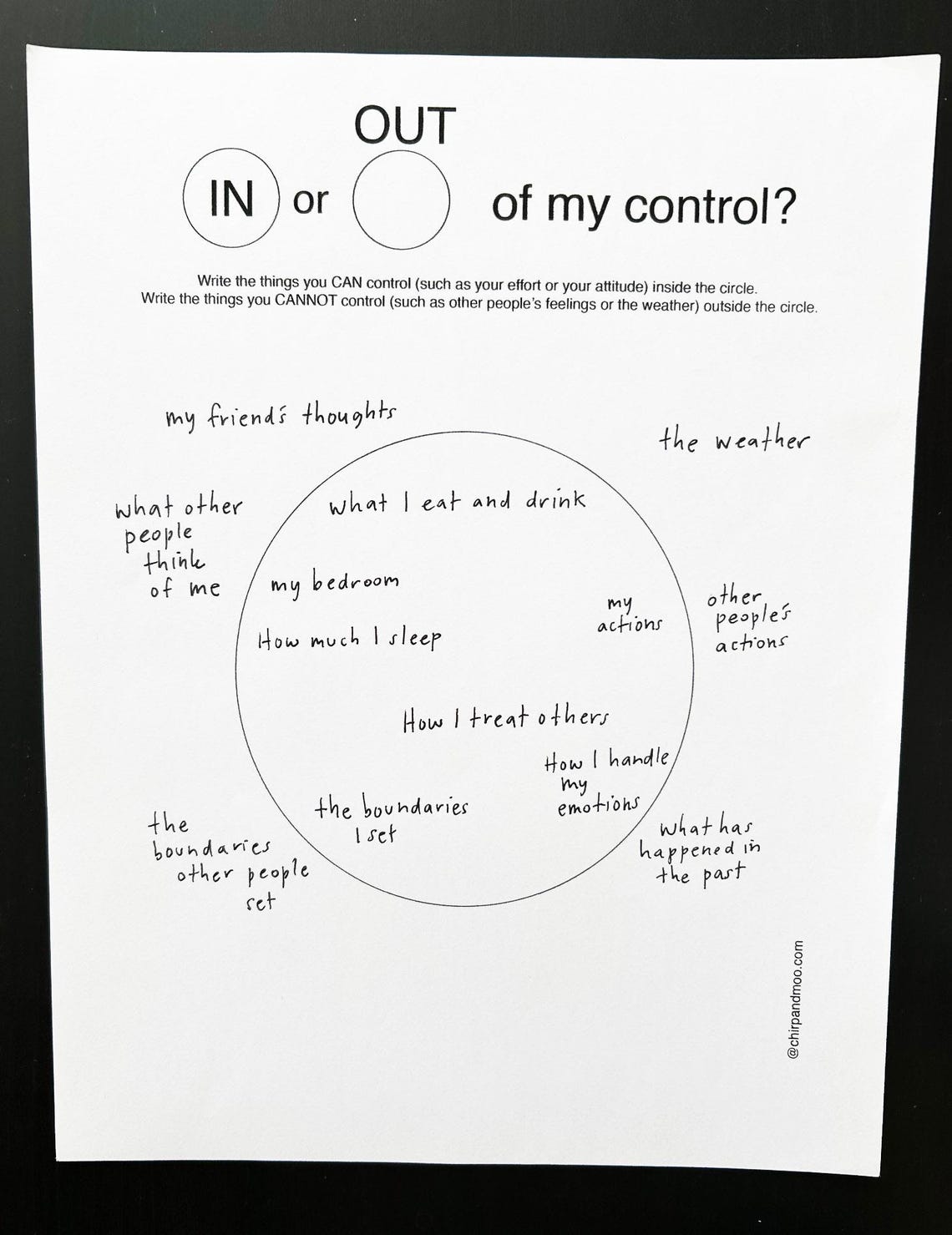What Can I Control? Printable Worksheet for Kids - Etsy
