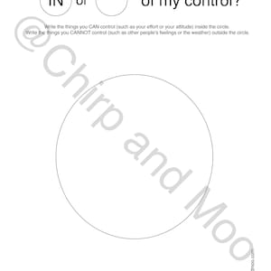 What Can I Control? Printable Worksheet for Kids - Etsy