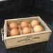 Egg Crate/box - Etsy