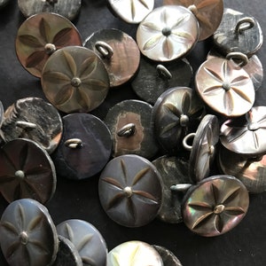 Antique Carved Shell Buttons 18mm four Pieces - Etsy