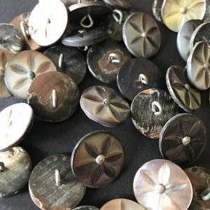 Antique Carved Shell Buttons 18mm four Pieces - Etsy