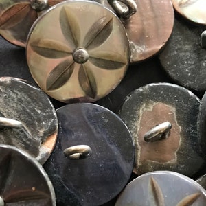 Antique Carved Shell Buttons 18mm four Pieces - Etsy