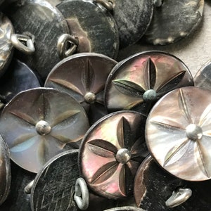 Antique Carved Shell Buttons 18mm four Pieces - Etsy