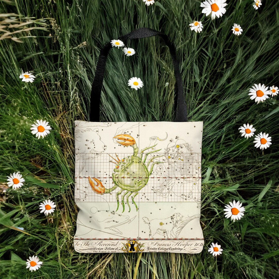 Renaissance Star Map, Antique Astronomy Map, Astronomy Gift, Astronomy ...