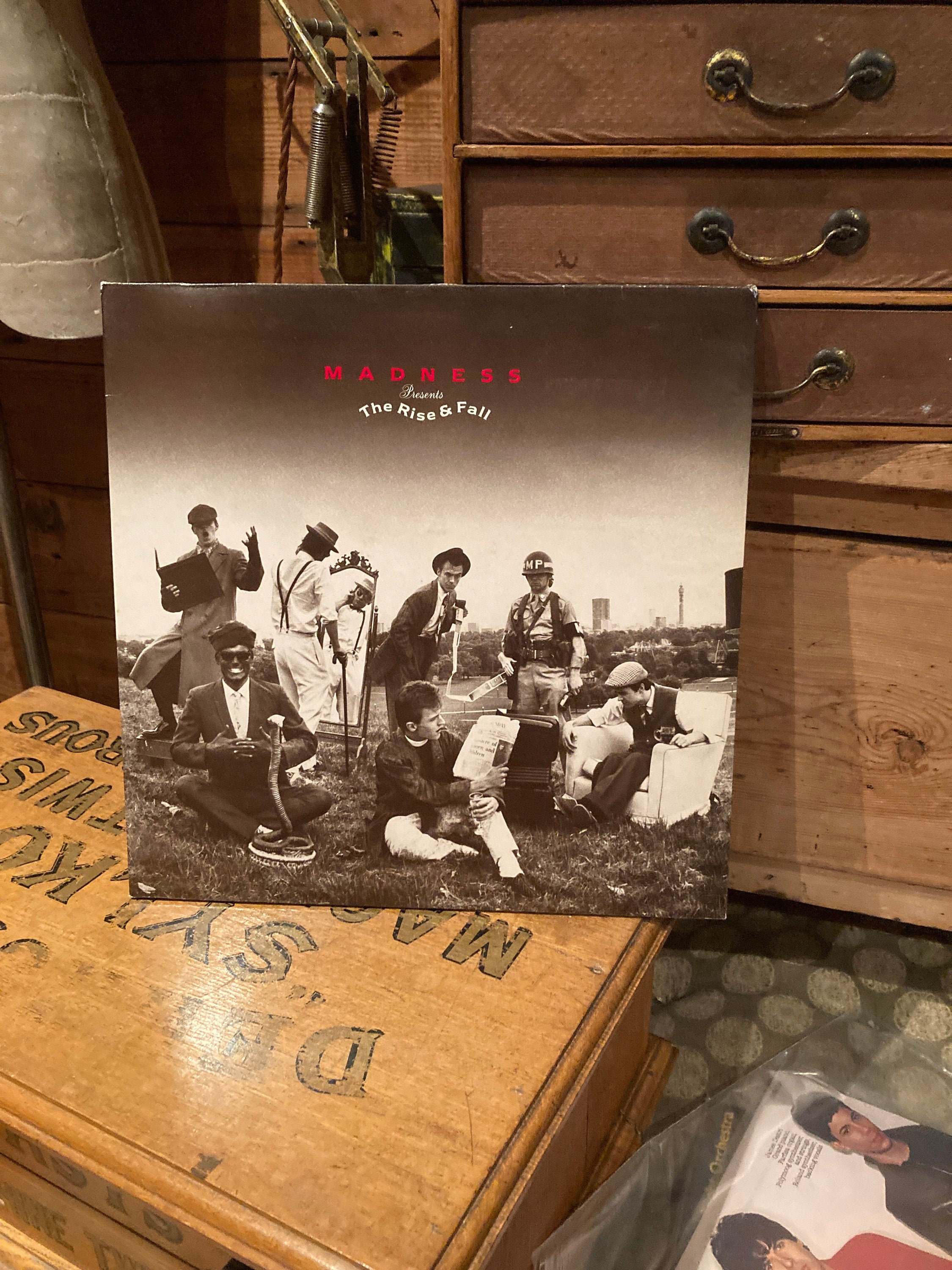 Madness The Rise And Fall