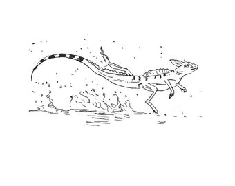 Basilisk Print | Etsy