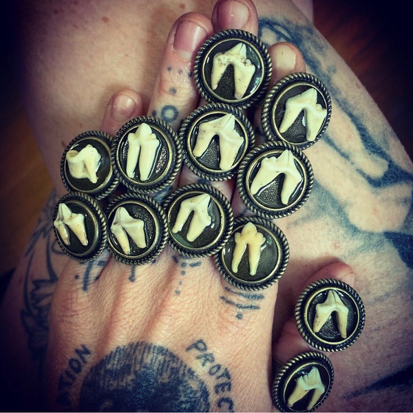 Tooth Ring - Etsy