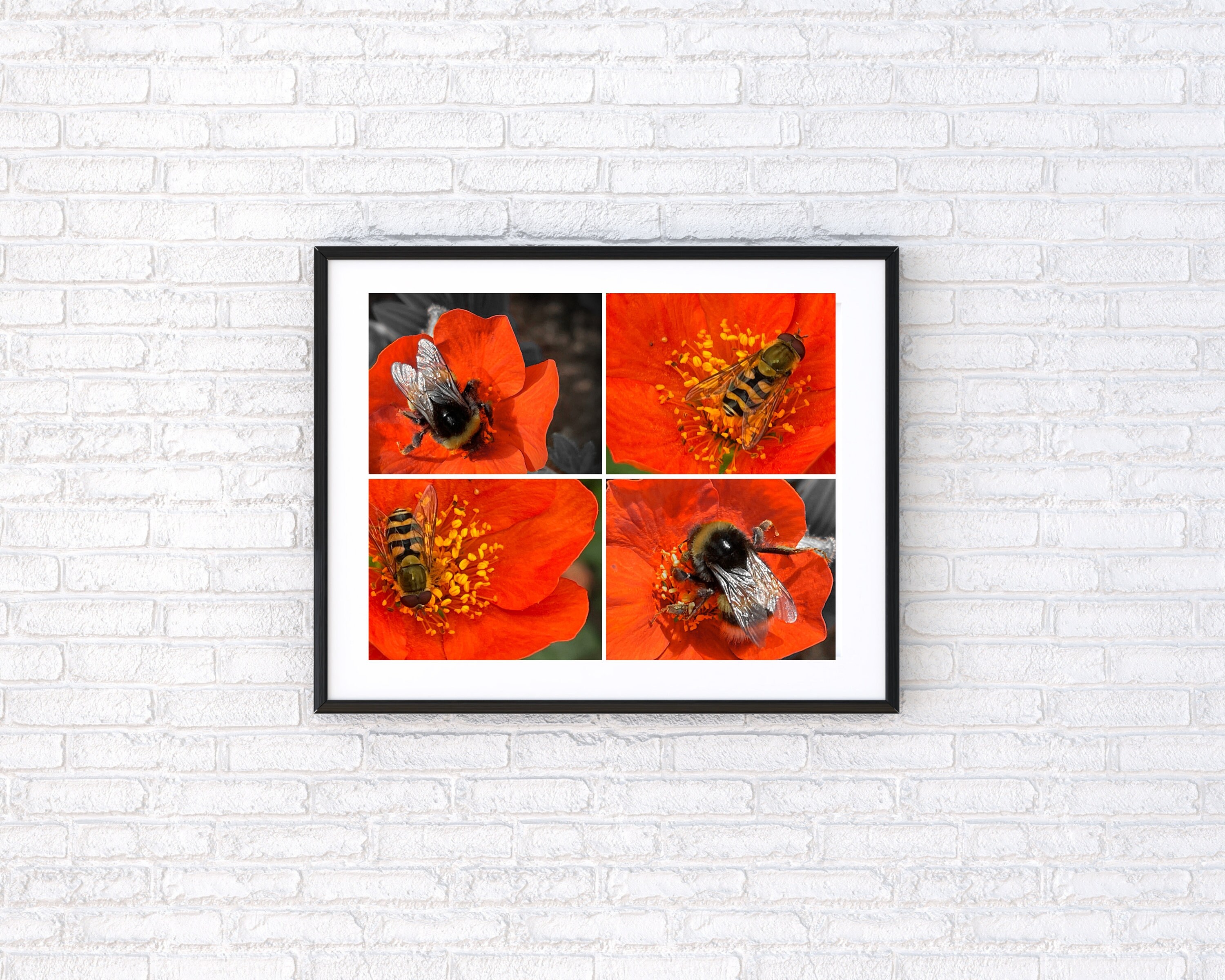Printable Wasps & Bees Collage Wall Art 12x8 Print Digital Download ...