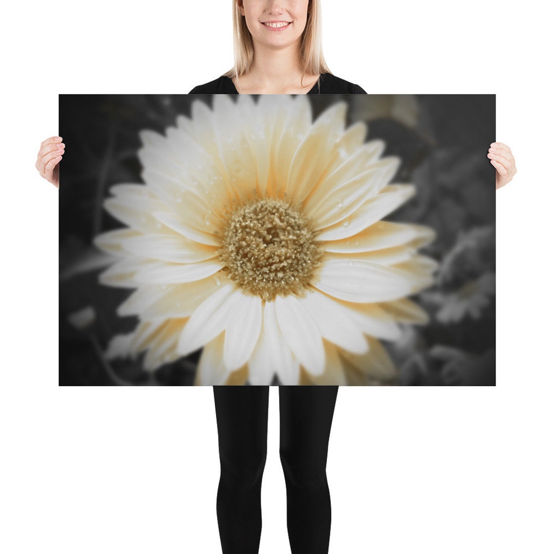 Daisy Flower Poster Wall Art Home Decor Flower Photography Unframed ...
