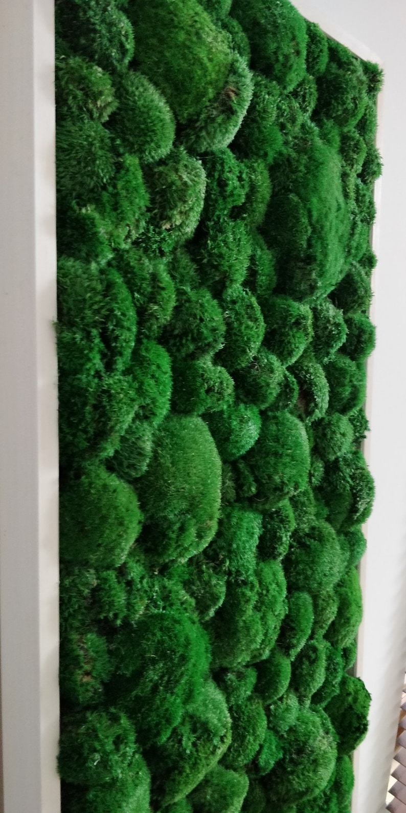 Vertical Garden Image of Moss Moss Wall Moss Art Work - Etsy
