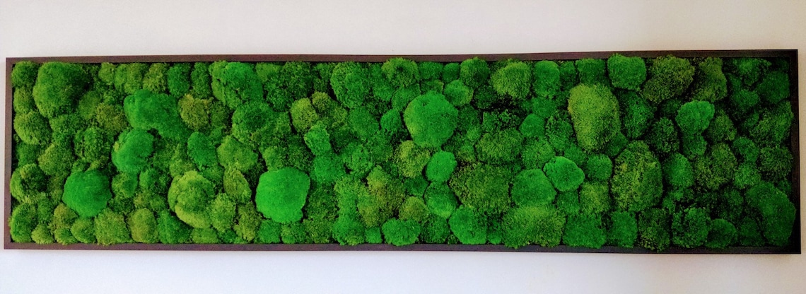 Vertical Garden Image of Moss Moss Wall Moss Art Work - Etsy
