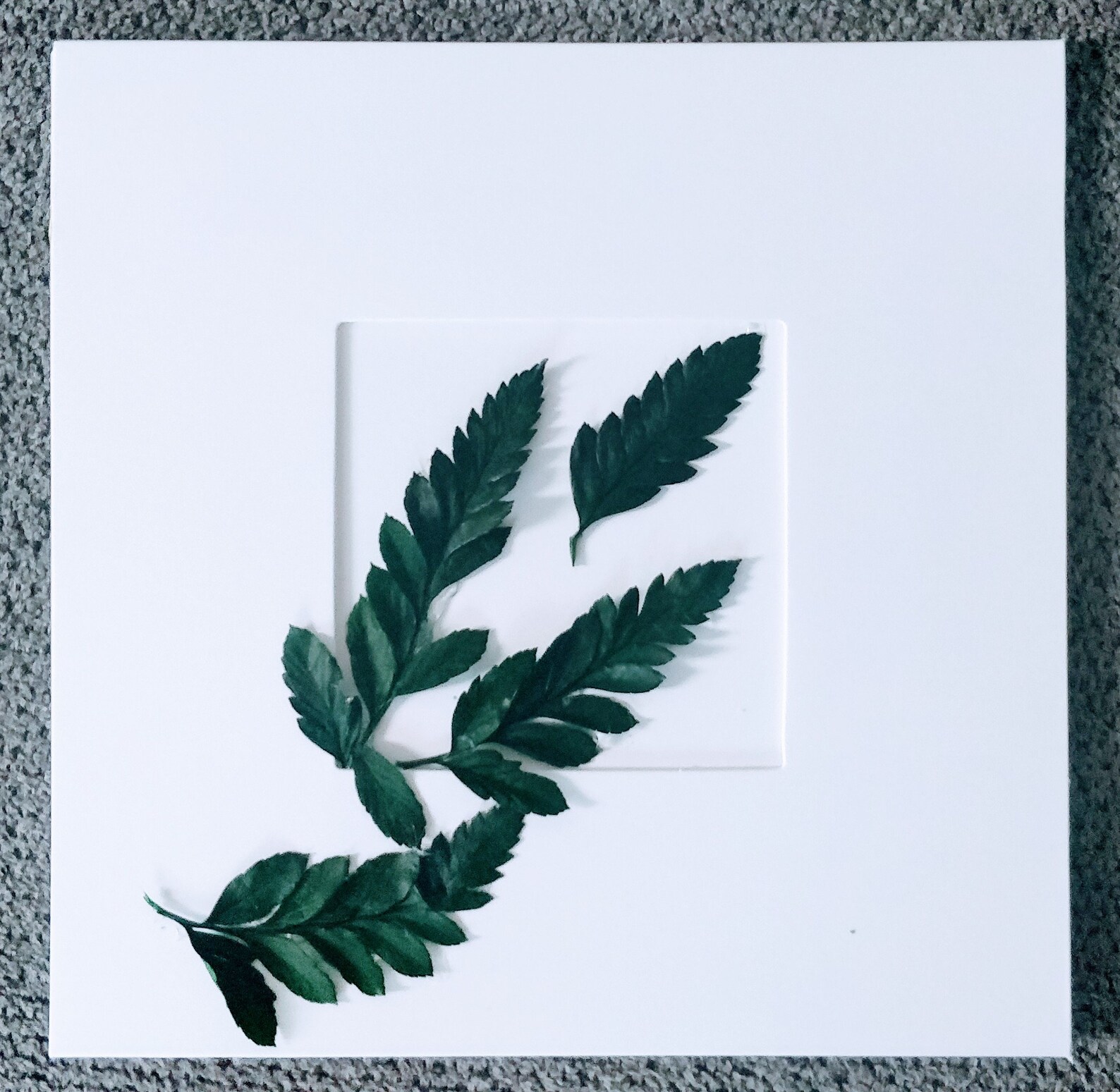 Moss Frame. Green Wall Art Wall Decor. Preserved Moss. Vertical Garden ...