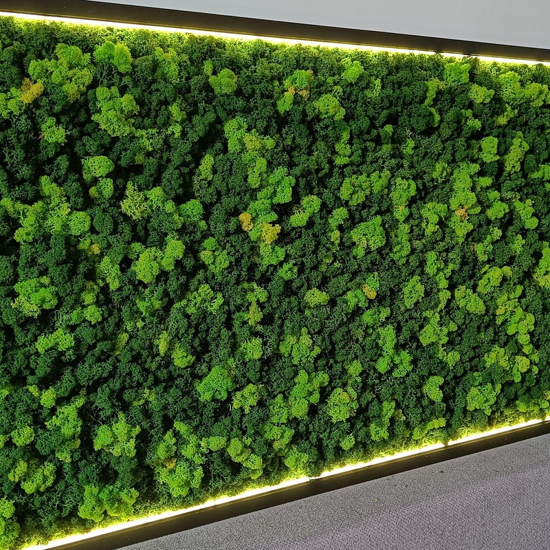 Wall Moss Art - Etsy