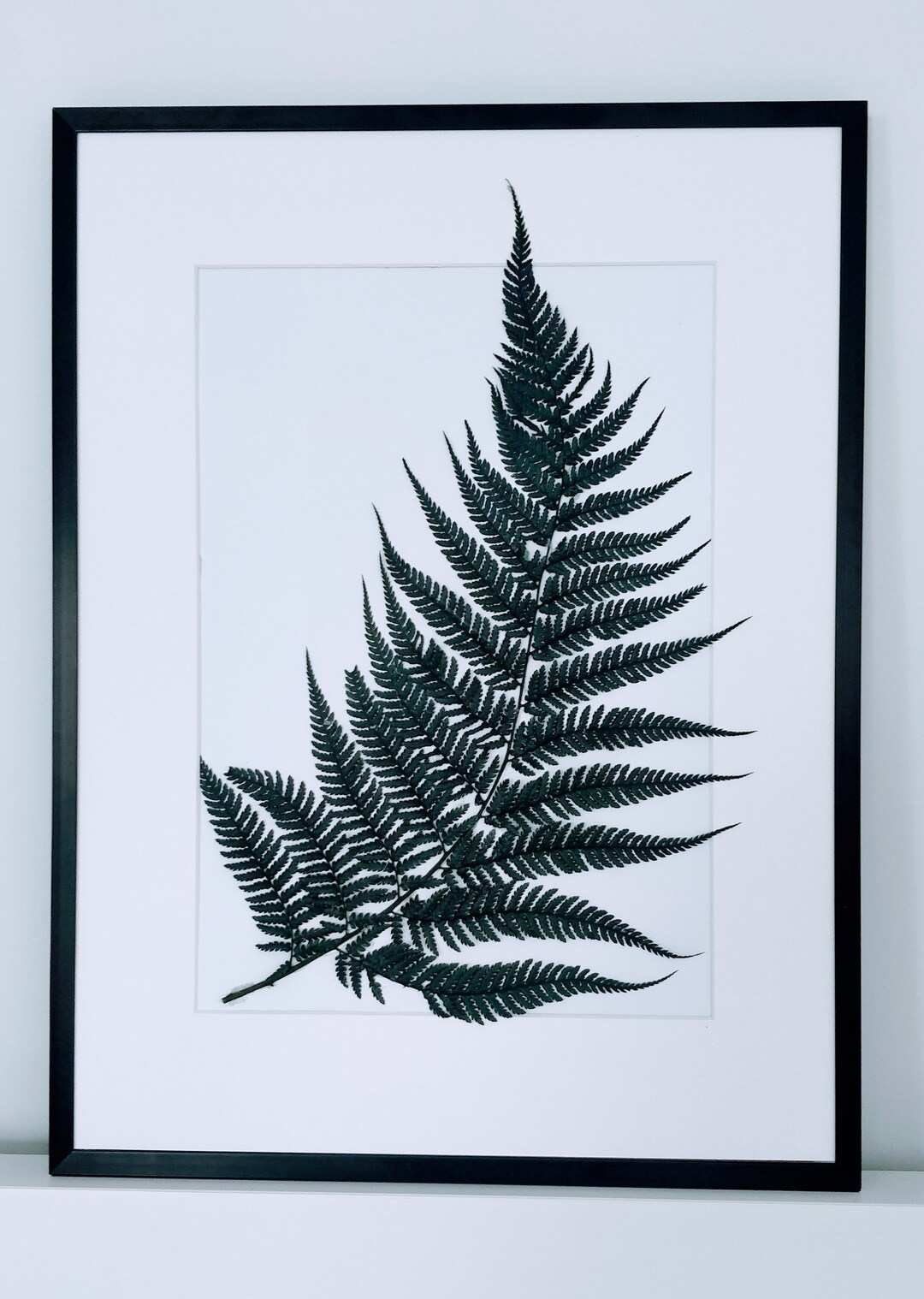 Real Pressed Fern Frame - Fern Wall Art - Botanical Fern Leaf ...