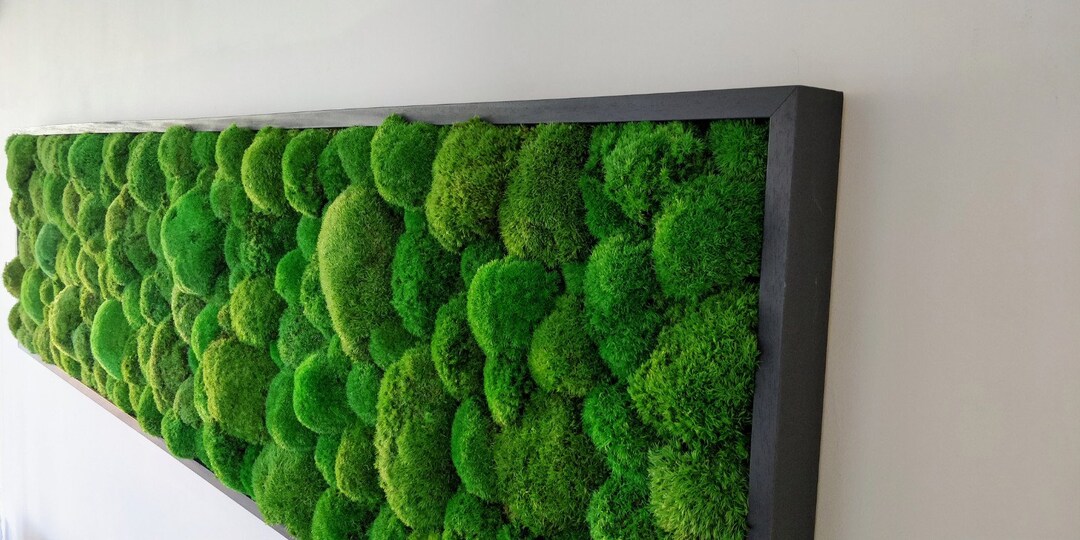 Vertical Garden, Image of Moss, Moss Wall, Moss Art Work, Preserved ...
