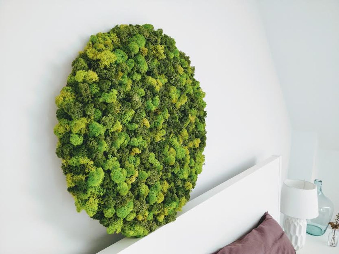Vertical Garden Image of Moss Moss Wall Round Moss Art | Etsy
