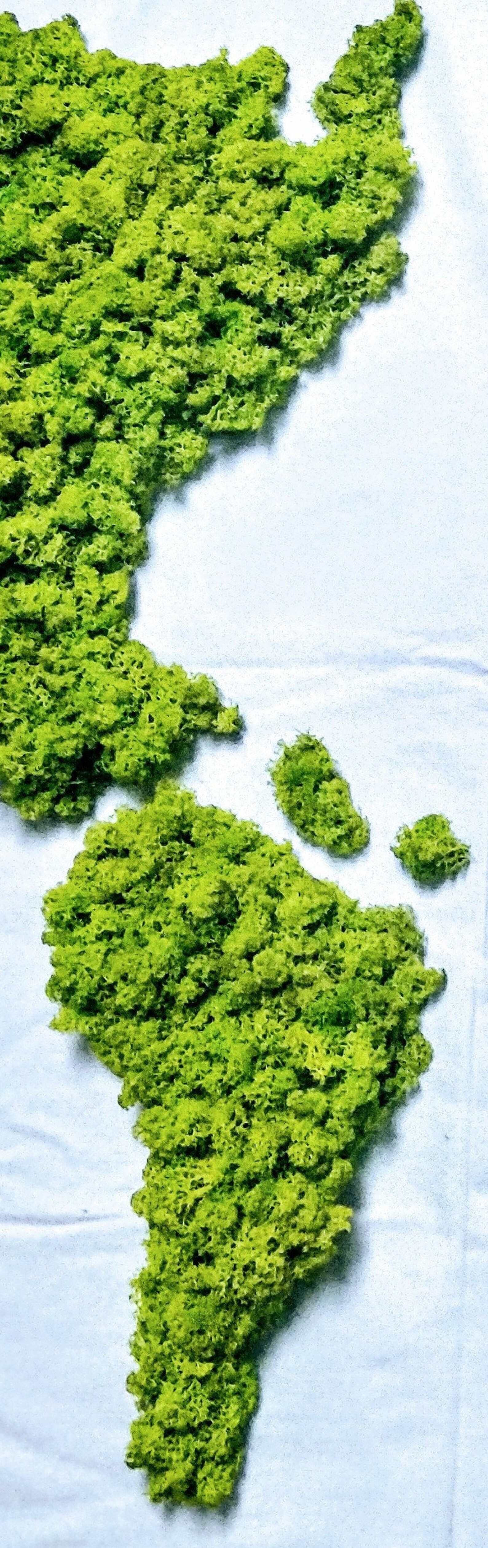 Moss World Map, Office Wall Art, Home Office Decor, Vertical Garden ...