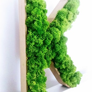 3D Moss, Wooden, Oak Letters. Your Company Logo - Etsy