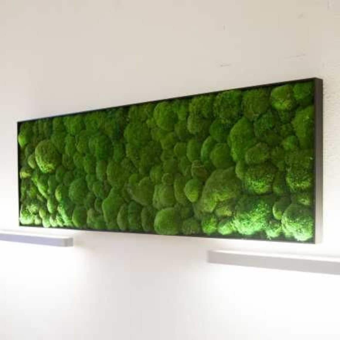 Vertical Garden Image of Moss Moss Wall Moss Art Work - Etsy