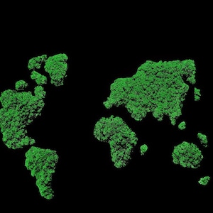 Moss World Map, Office Wall Art, Home Office Decor, Vertical Garden ...