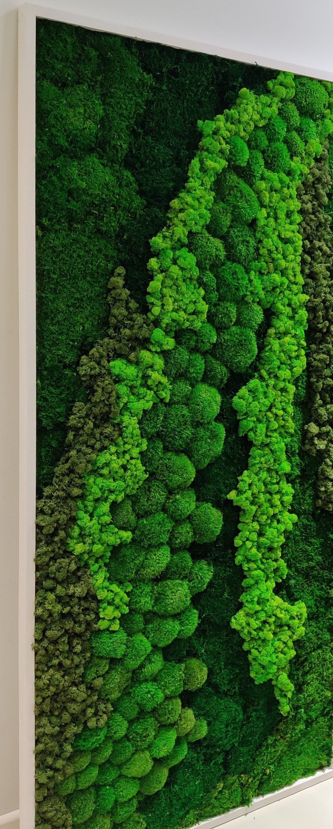 Moss Frame. Green Wall Art Wall Decor. Preserved Moss. Vertical Garden ...