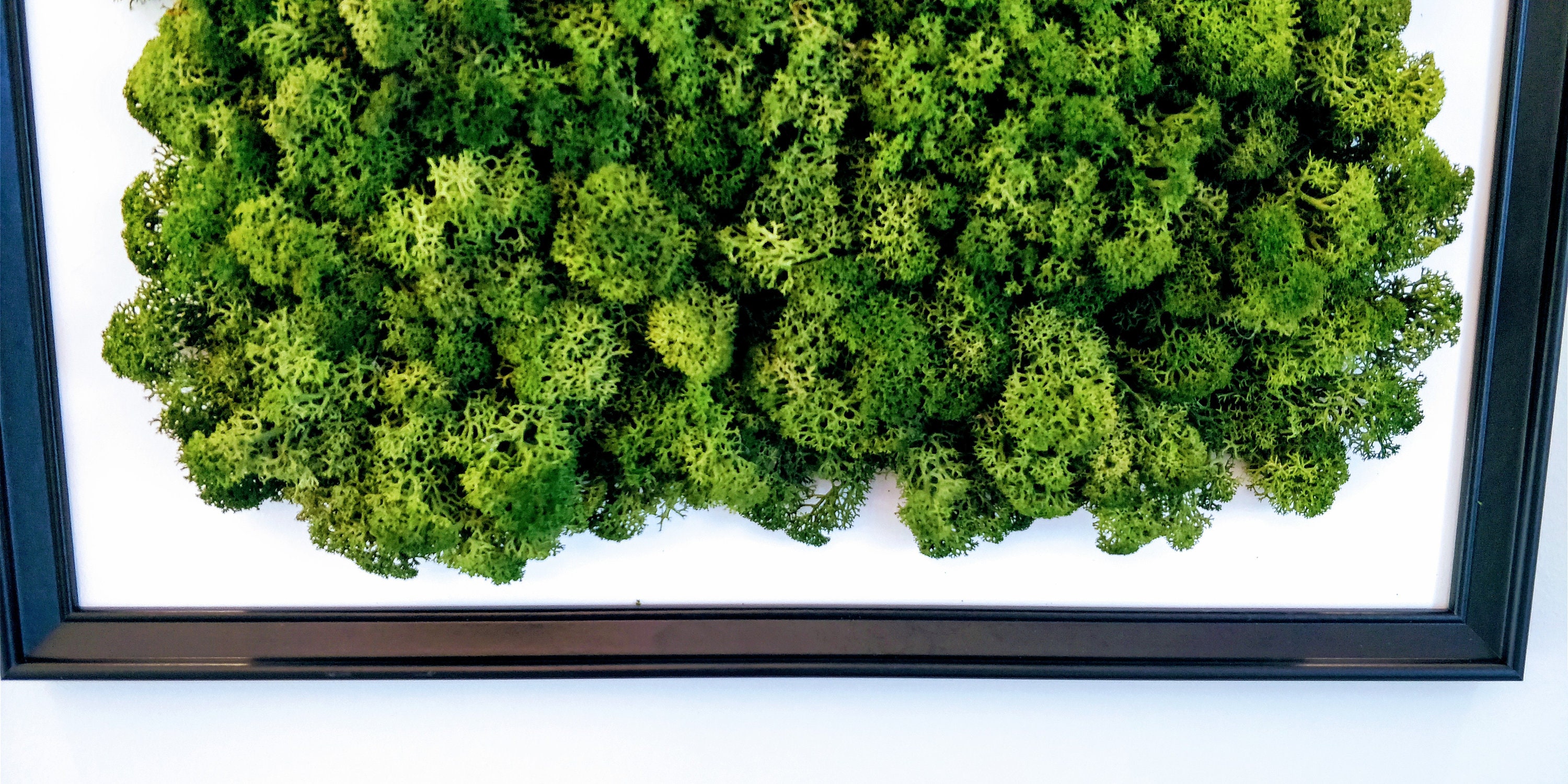 Set of 3 Moss Wall Art Frame, Vertical Garden, Scandinavian Moss, Moss ...