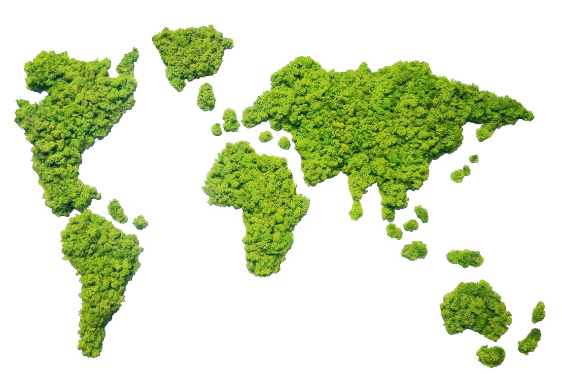 Moss World Map, Office Wall Art, Home Office Decor, Vertical Garden ...