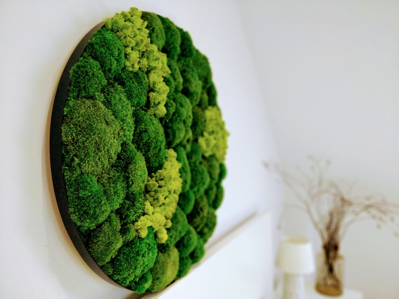 Vertical Garden Image of Moss Moss Wall Round Moss Art - Etsy