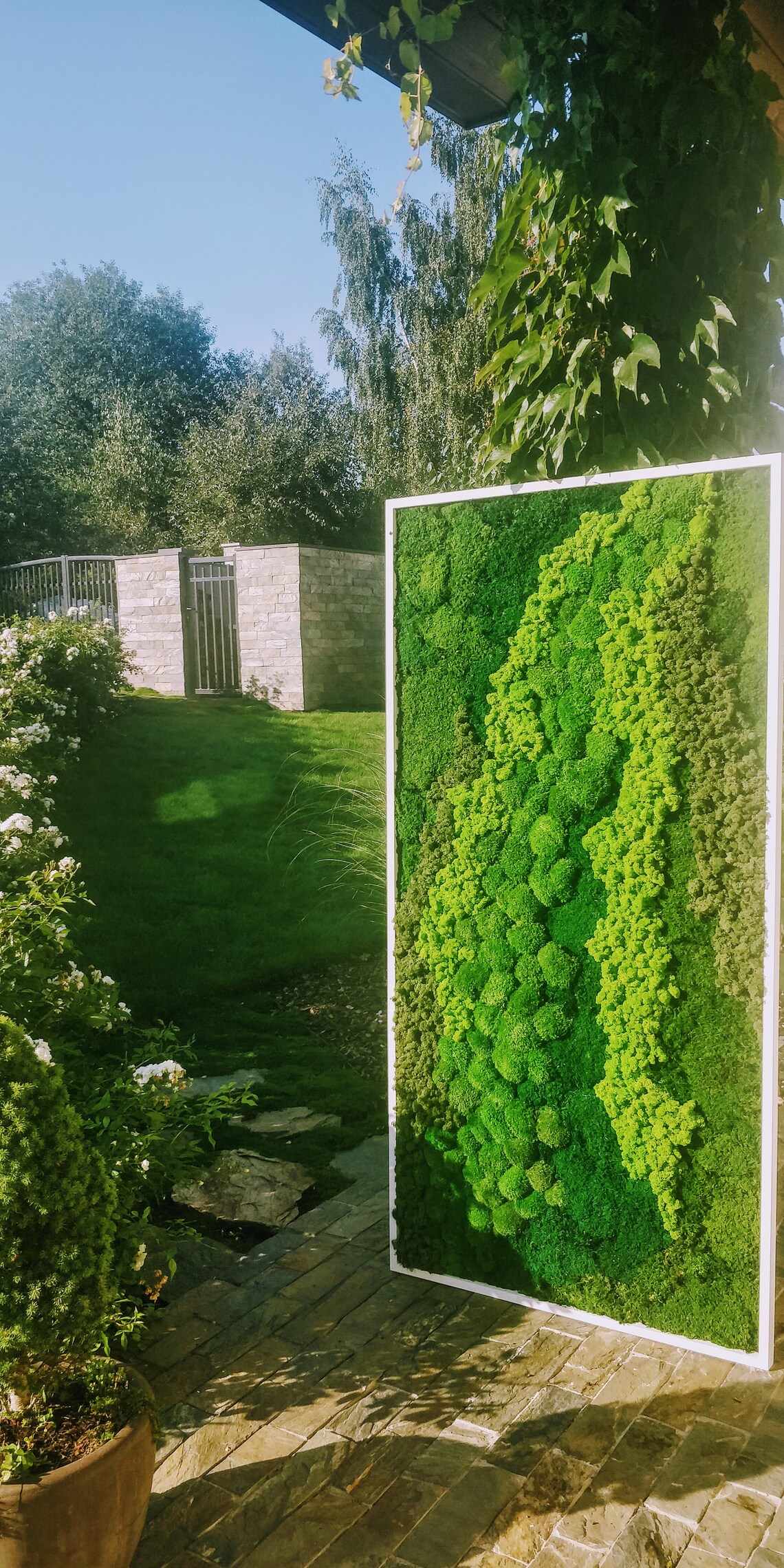 Moss Frame. Green Wall Art Wall Decor. Preserved Moss. Vertical Garden ...