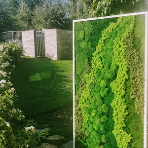 Moss Frame. Green Wall Art Wall Decor. Preserved Moss. Vertical Garden ...