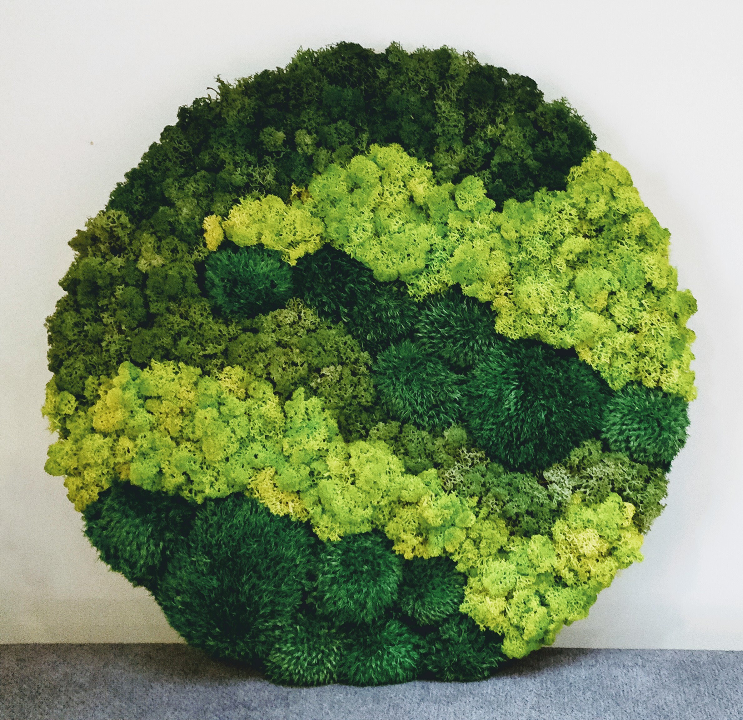 Make Your Own Moss Art DIY Moss Wall Kit Round Moss Art - Etsy