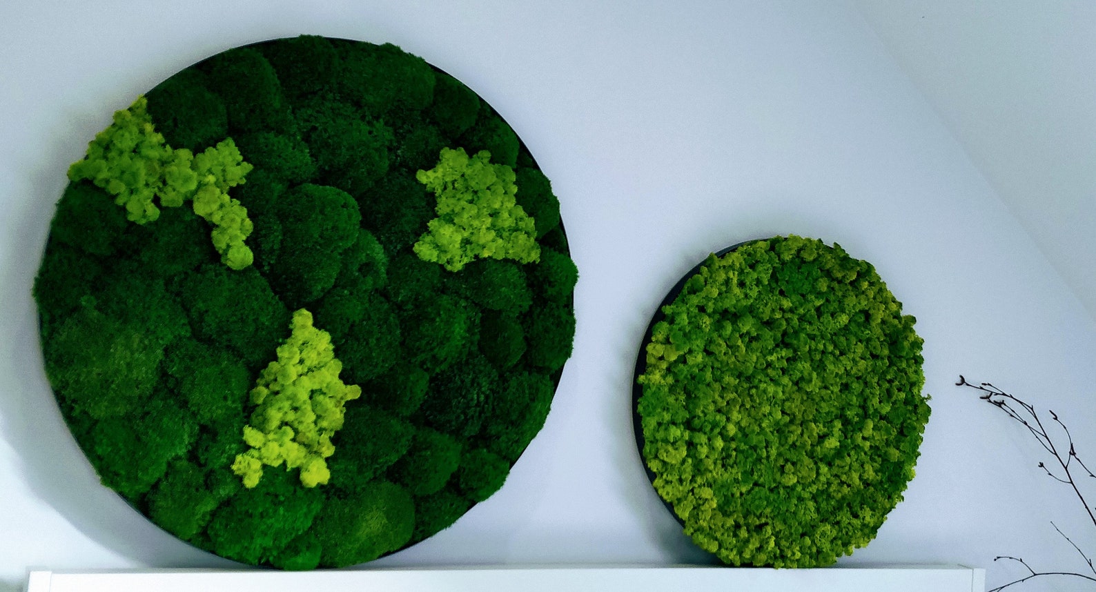Vertical Garden Image of Moss Moss Wall Round Moss Art - Etsy
