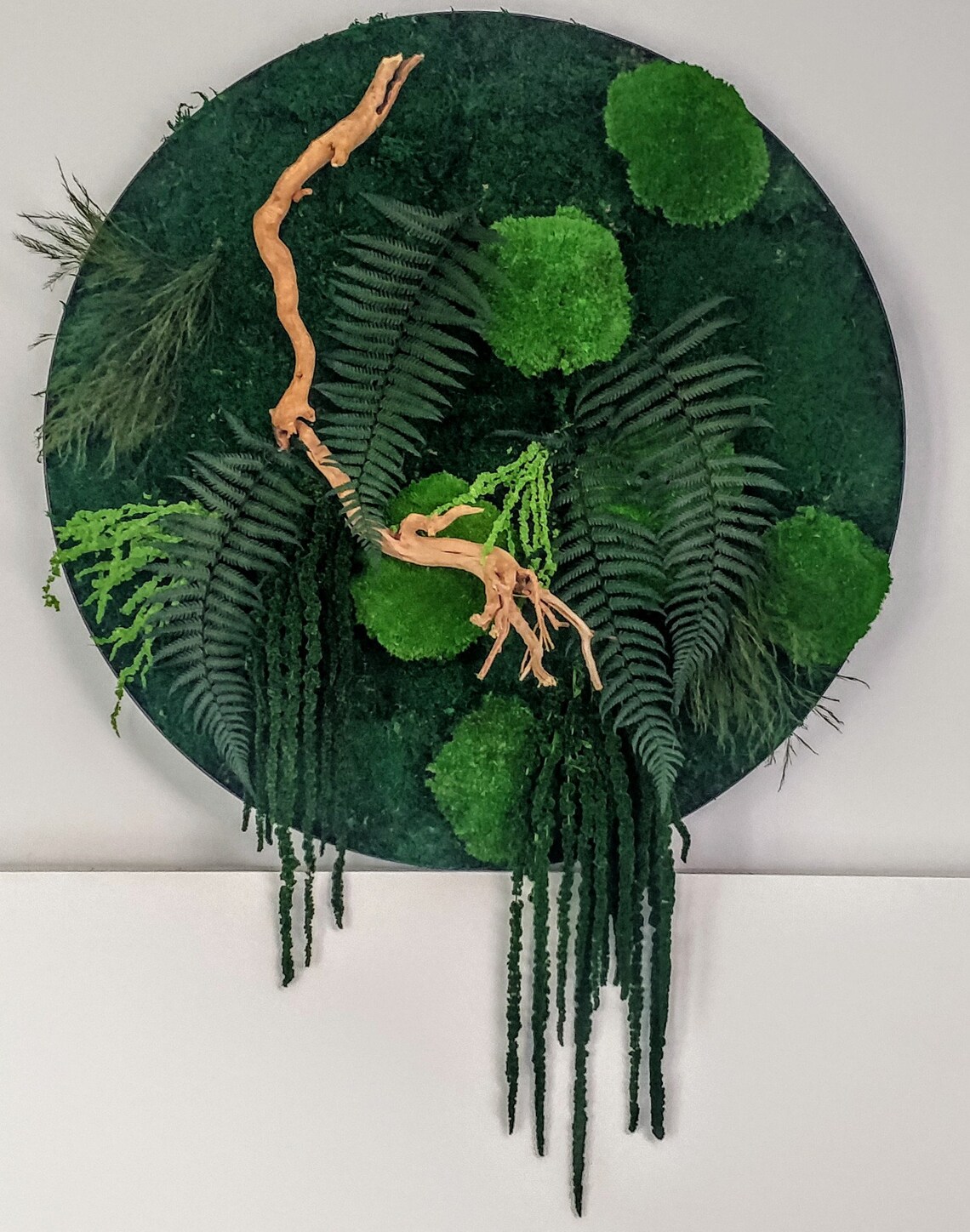 Round Art Moss, Ferns, Root 28", 20", 12" (70cm,50cm,30cm). Preserved ...