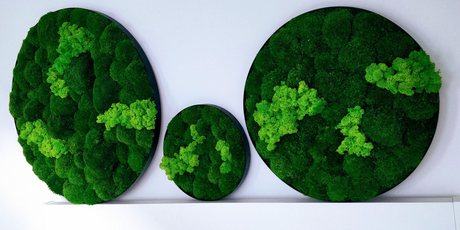Set of 3 Moss Wall Art in Black Metal Frames Round Moss Art | Etsy