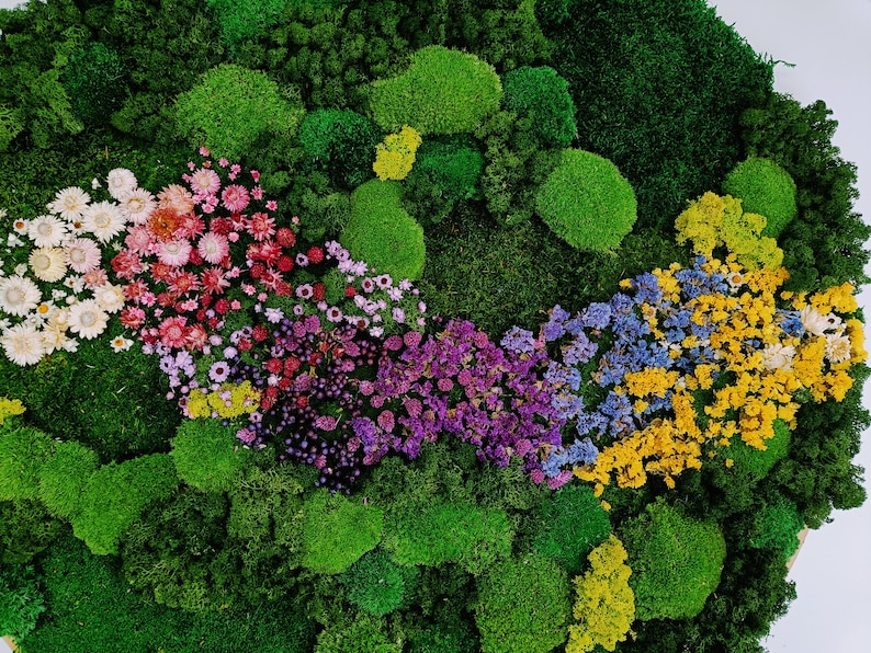 Round Art Moss, Ferns and Colorful Flowers 39",28", 20", 12" (100cm ...