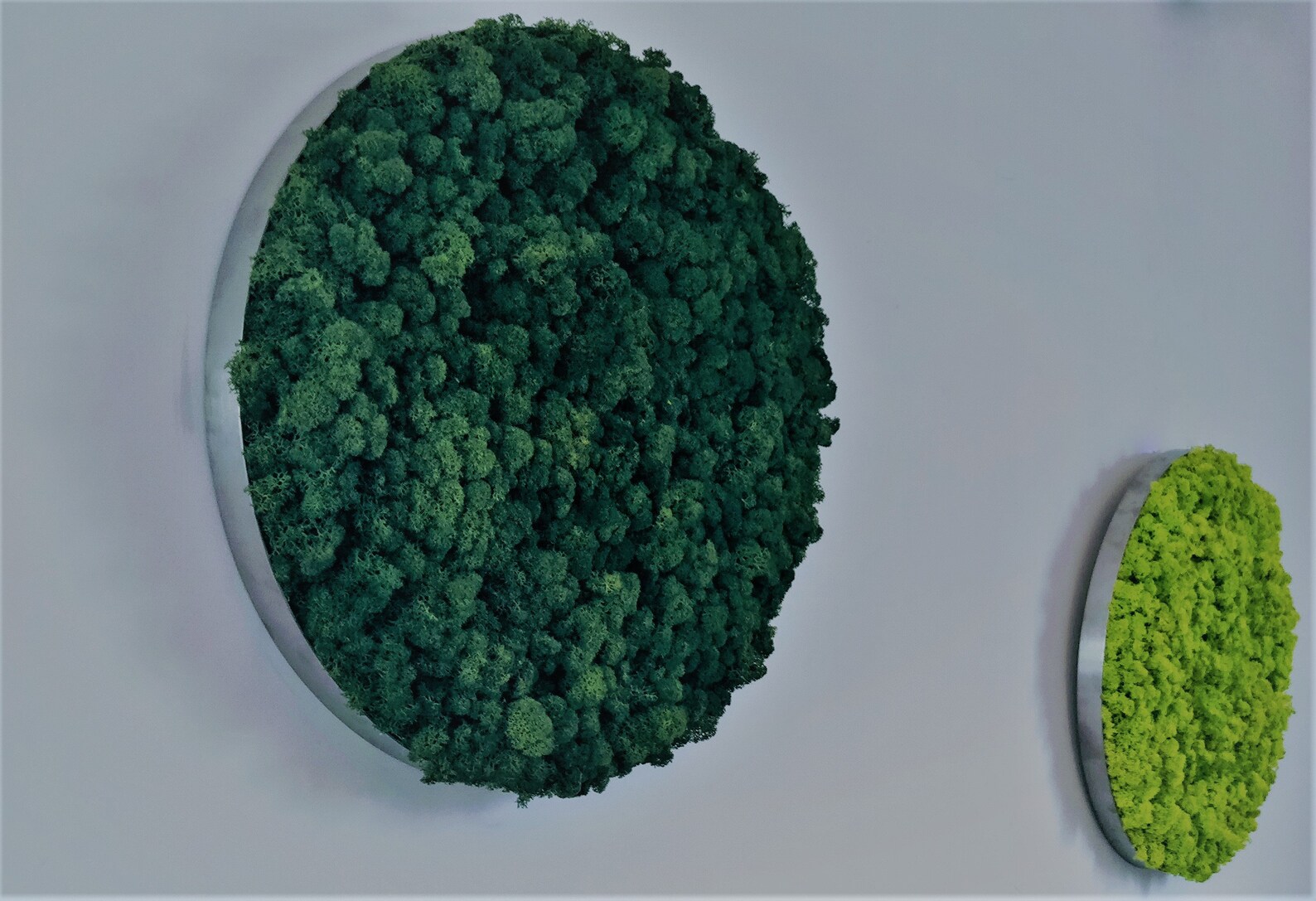 Vertical Garden Image of Moss Moss Wall Round Moss Art | Etsy