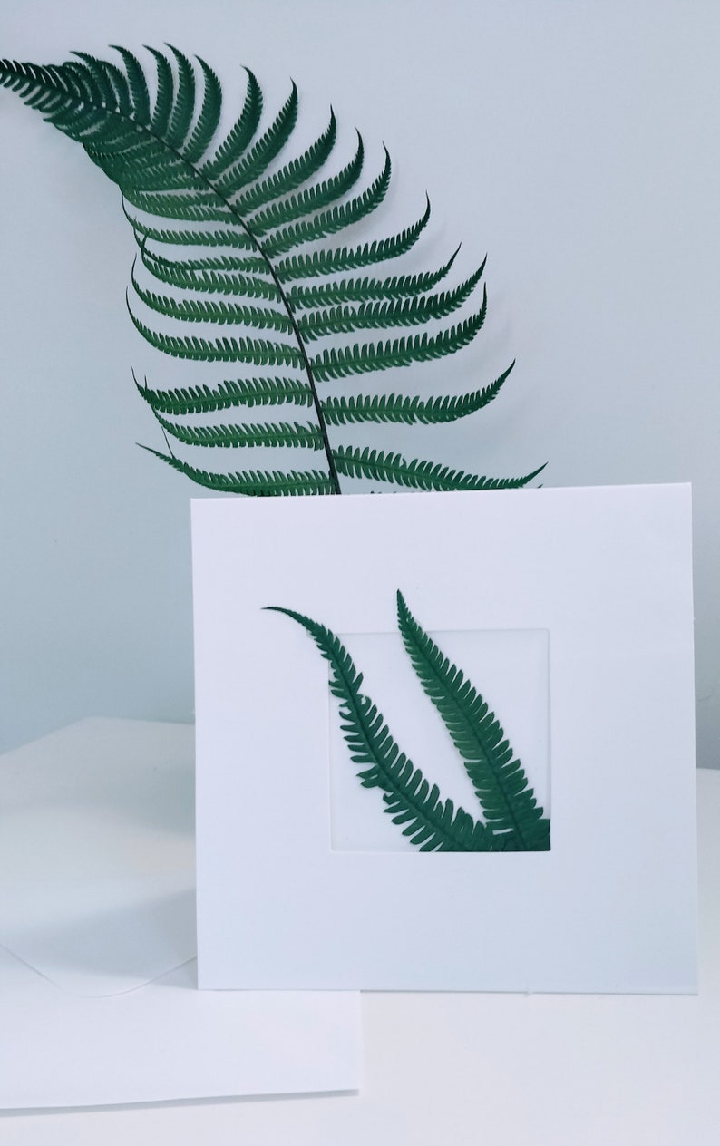 Moss Frame. Green Wall Art Wall Decor. Preserved Moss. Vertical Garden ...