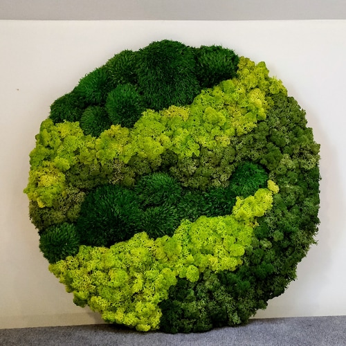 Starburst Moss Wall Art | Etsy