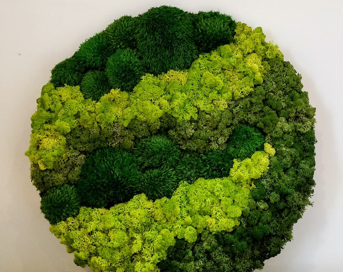 Make Your Own Moss Art, DIY Moss Wall Kit, Round Moss Art Work ...