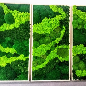Set of 3 Moss Frame 120cmx60cm (48"x24"). Green Wall Art. Wall Decor ...